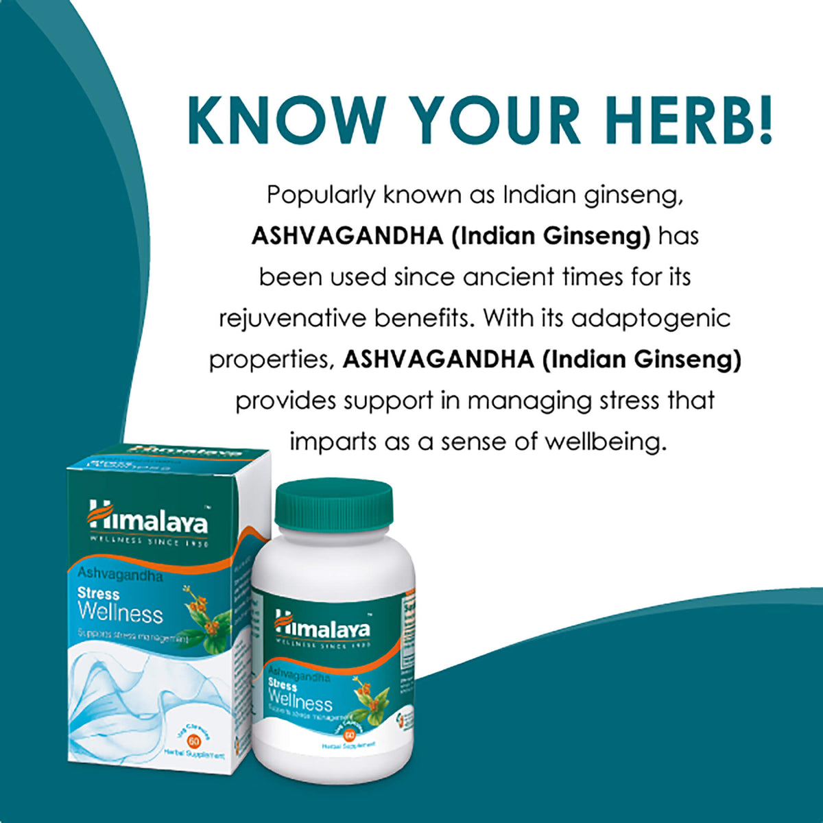 Himalaya Ashvagandha - For Stress Wellness – Himalaya Wellness (Singapore)