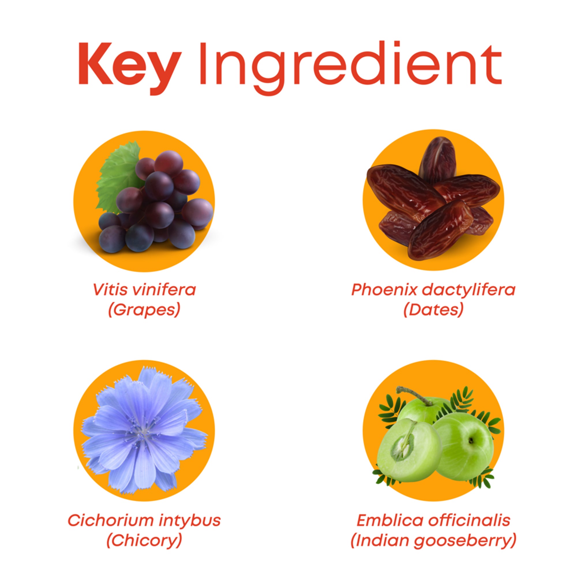 Himalaya PartySmart (1s x 10 Capsules) – Himalaya Wellness (Singapore)