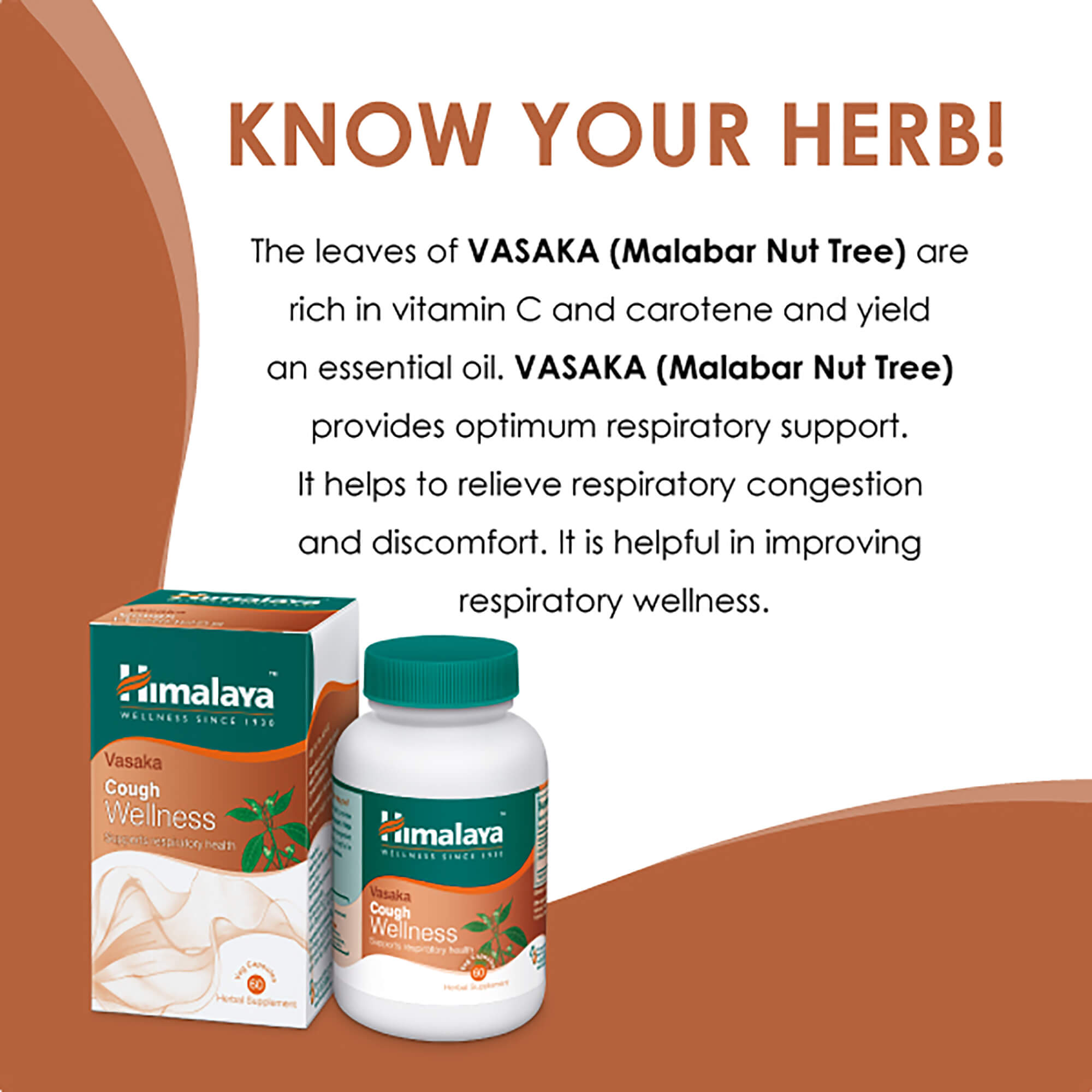 Himalaya Vasaka Cough Wellness - Effective Respiratory Care – Himalaya ...